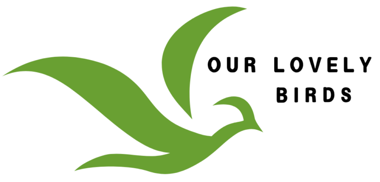 9 Fascinating Bird Behaviors Explained | What They Really Mean